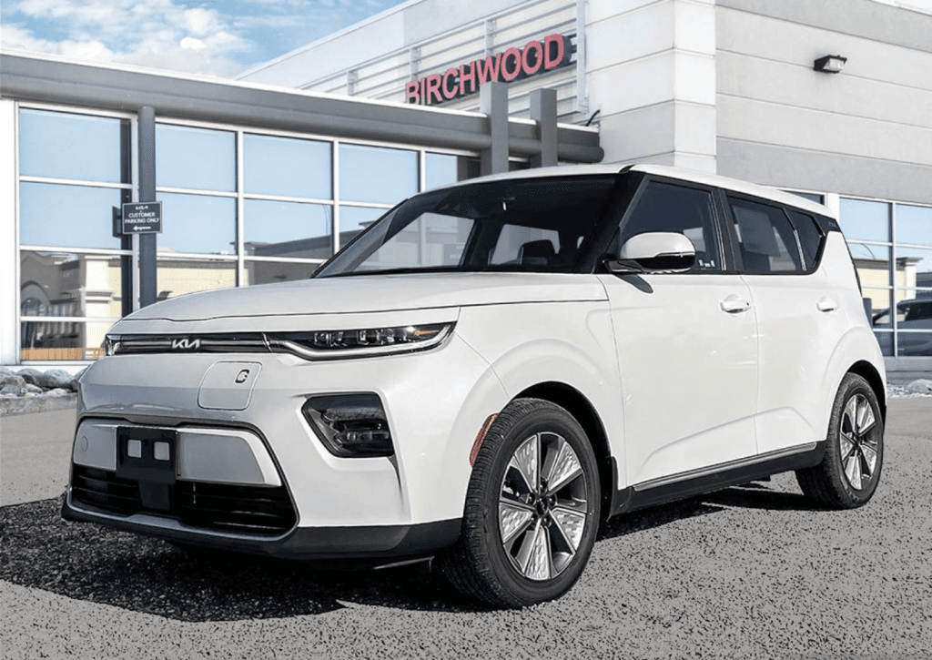 Best Electric Vehicles of 2023 | Birchwood Automotive Group