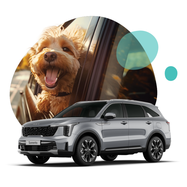 Dealer Sales Offers | Birchwood Automotive Group